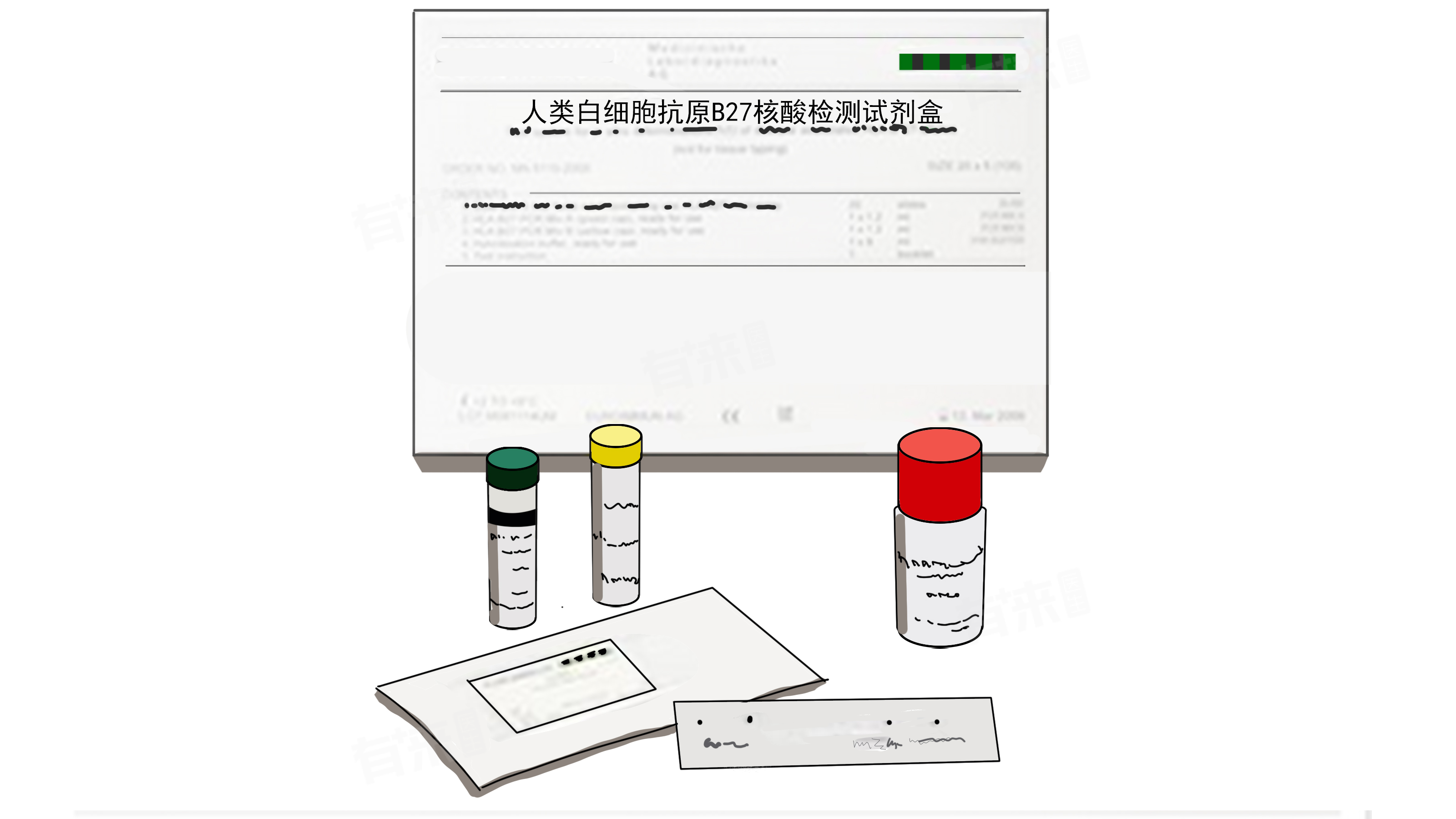 人类白细胞抗原b27阳性是什么病-有来医生